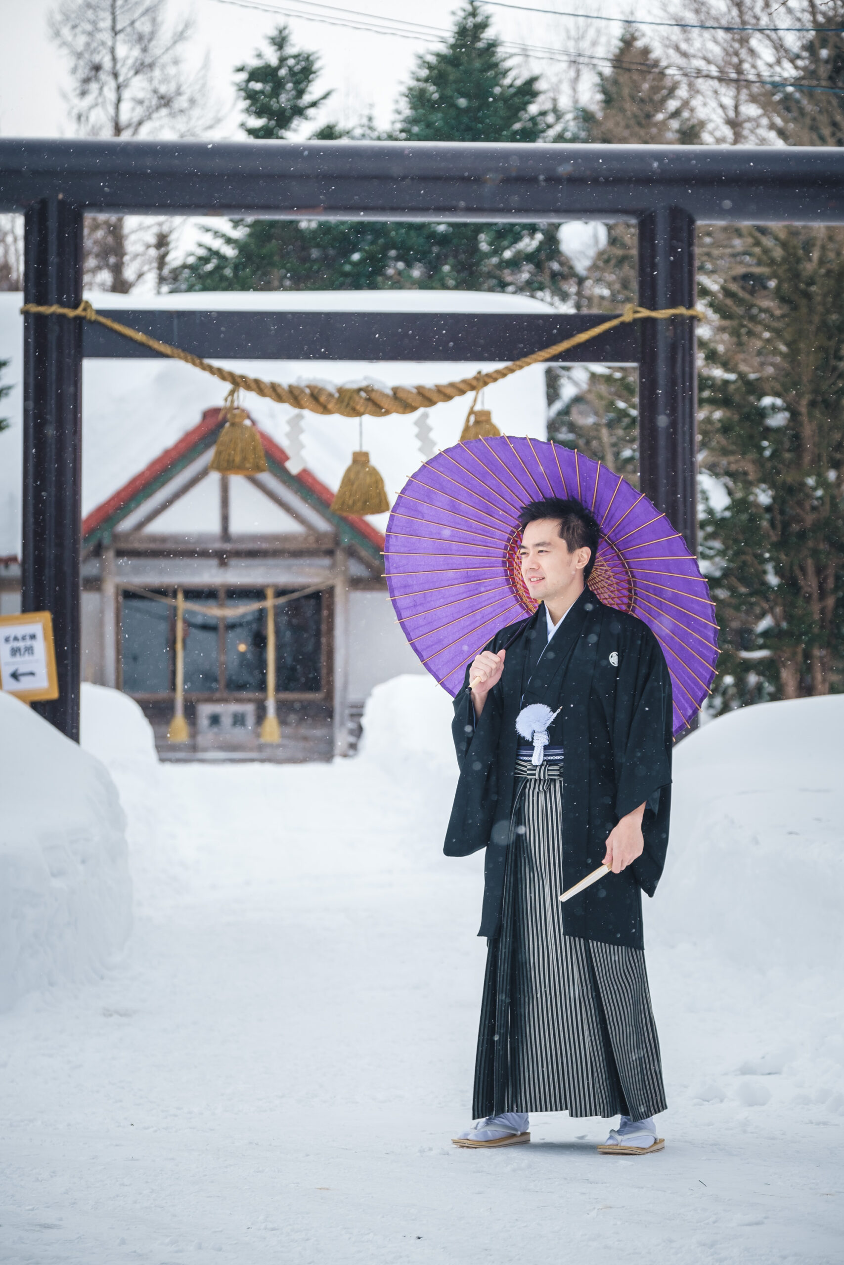 Standard / Niseko
